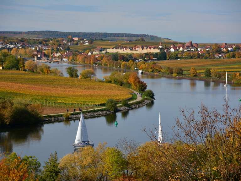 Neckarweg Etappe 16: Pleidelsheim - Lauffen am Neckar | Wanderung | Komoot