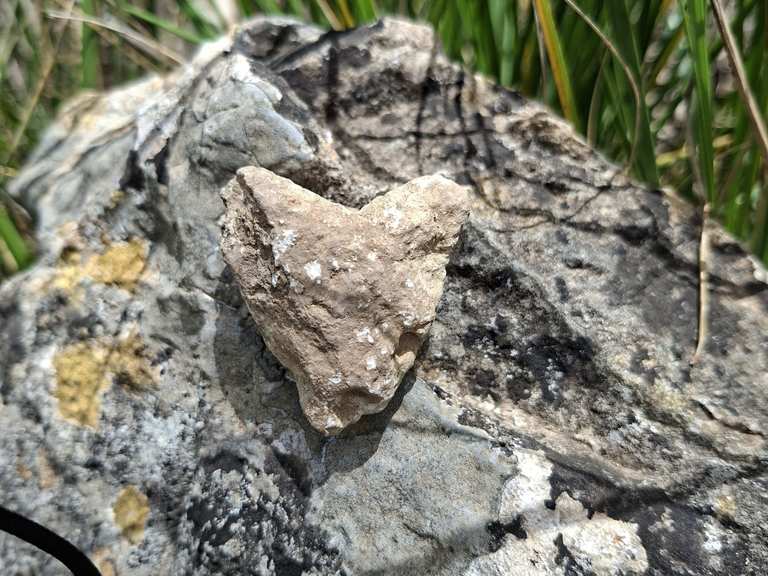 Wanderung Burgesa-Bendinat | Wanderung | Komoot