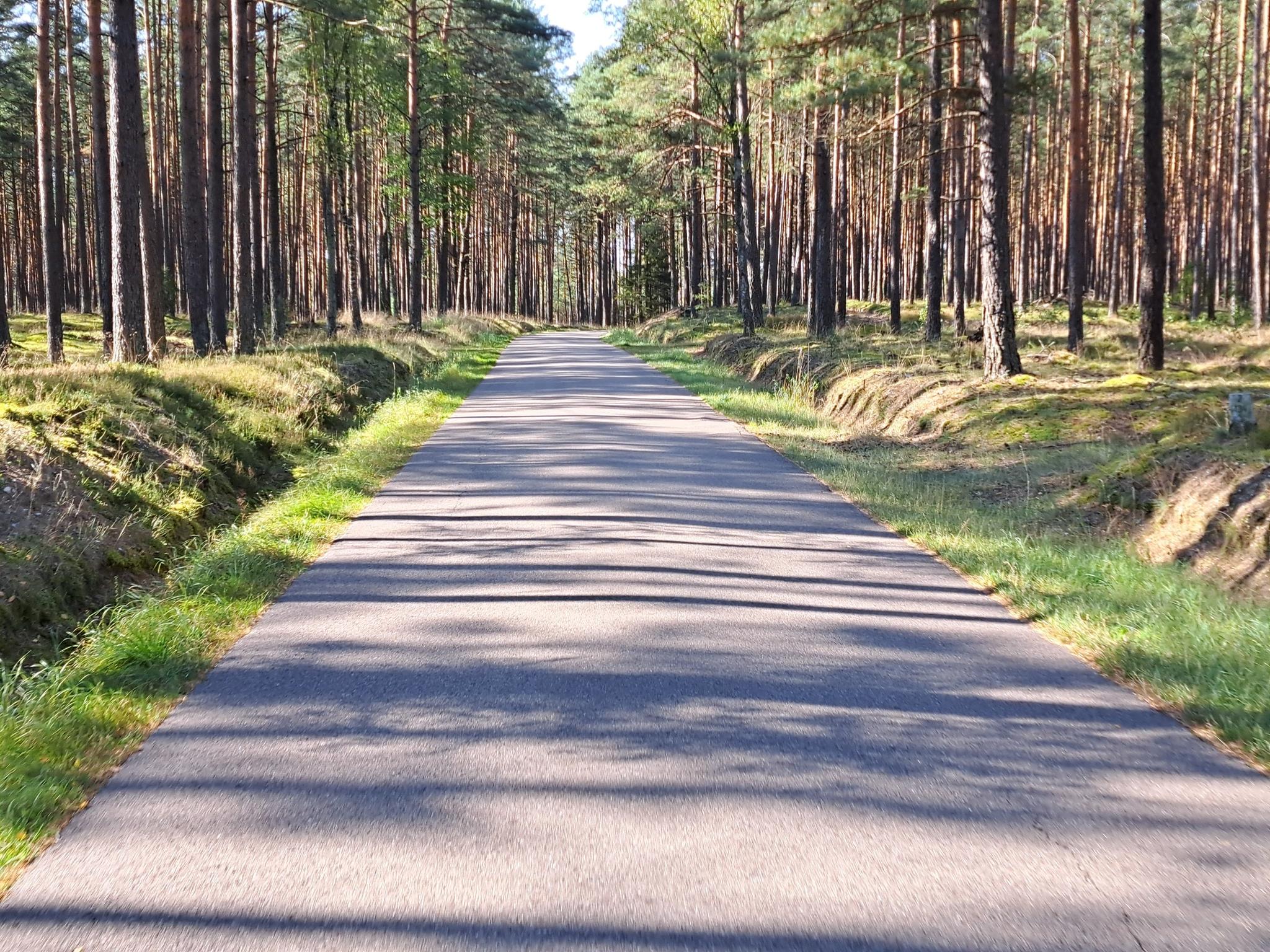 Things to Do around Lake Trzemeszno