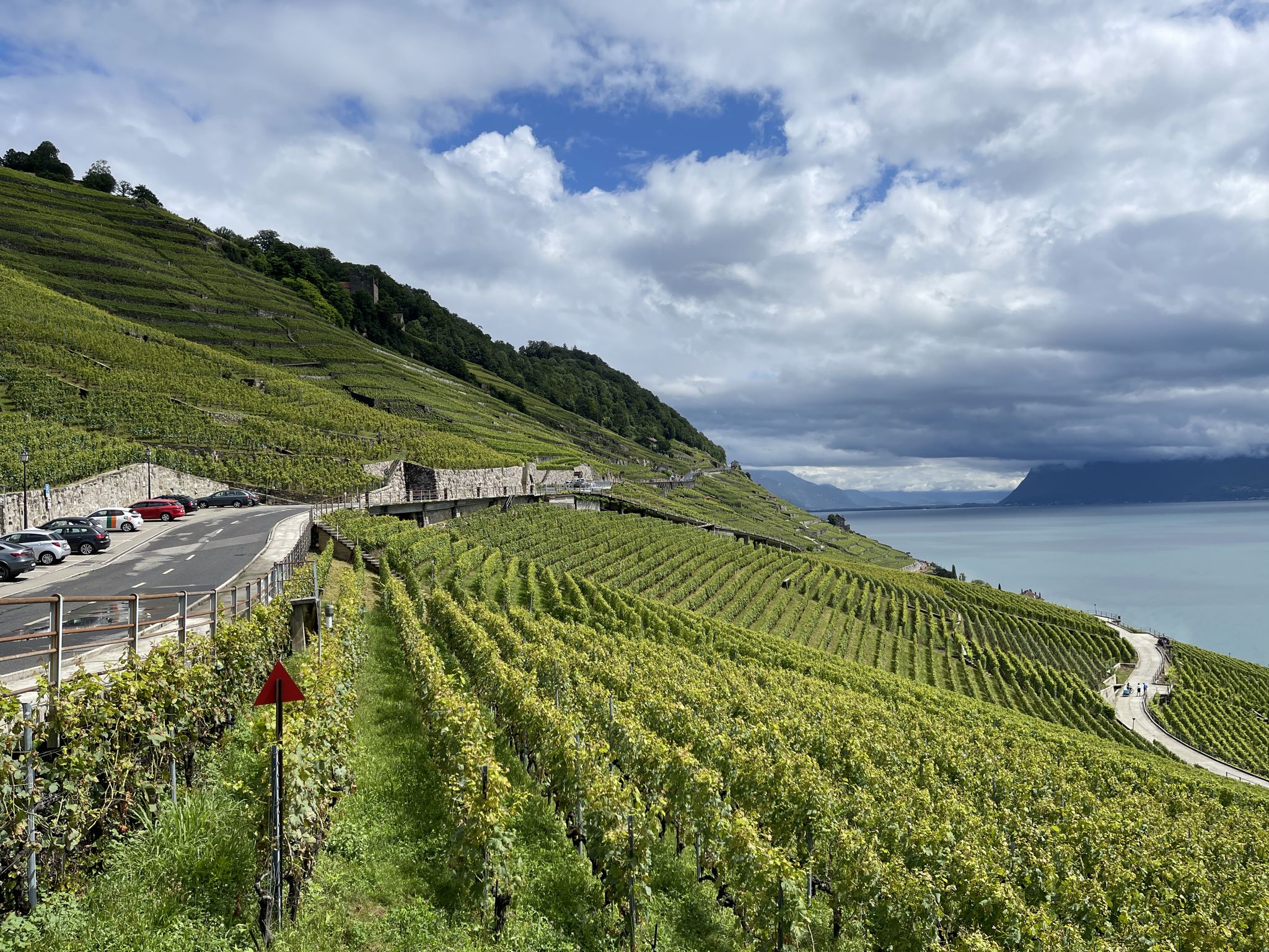 Terraces of Lavaux – Rivaz Village and Vineyards loop from Cully | hike ...