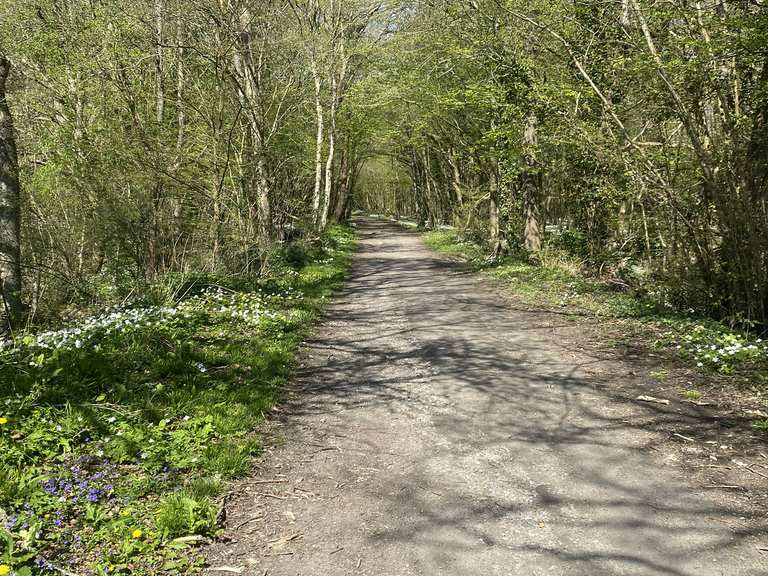 Heathfield-Beachy Head Cuckoo trail | bike Tour | Komoot