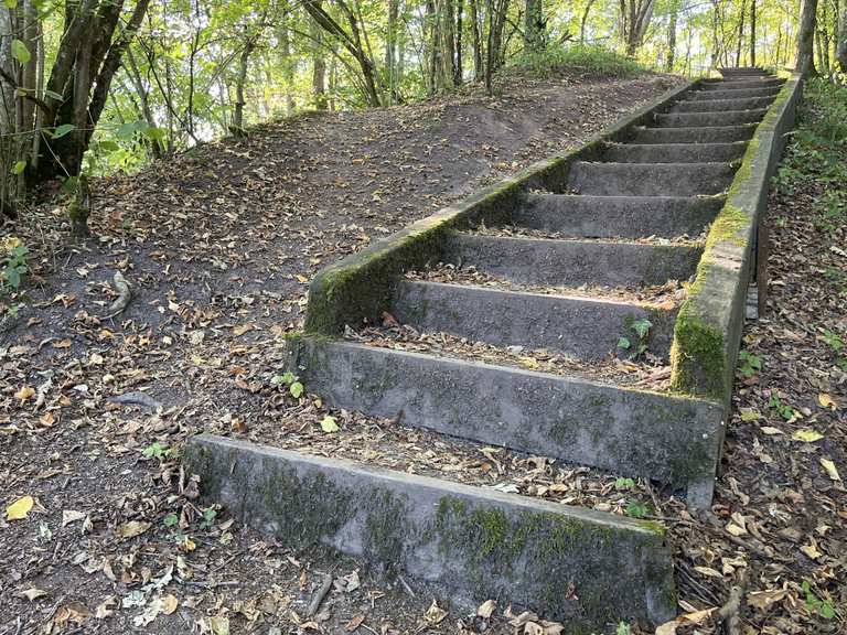 Bollendorf-Pont - Rundtour | Wanderung | Komoot