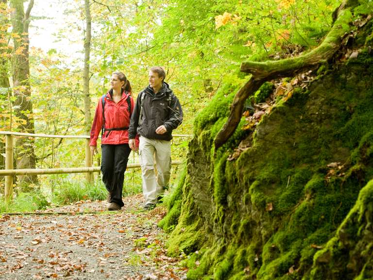 Der WesterwaldSteig in der Region Westerwald-Sieg | Wander-Collection ...