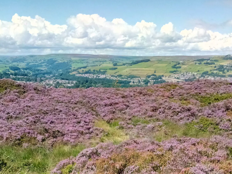 Hike an awesomely accessible wilderness — Calderdale Way | Hiking ...
