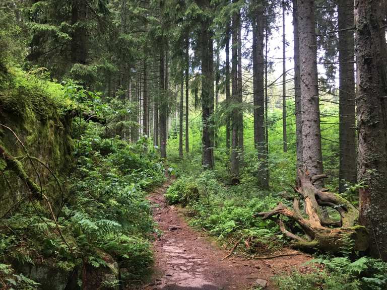 Hiking with a view – day trips in the Hochschwarzwald | Hiking ...