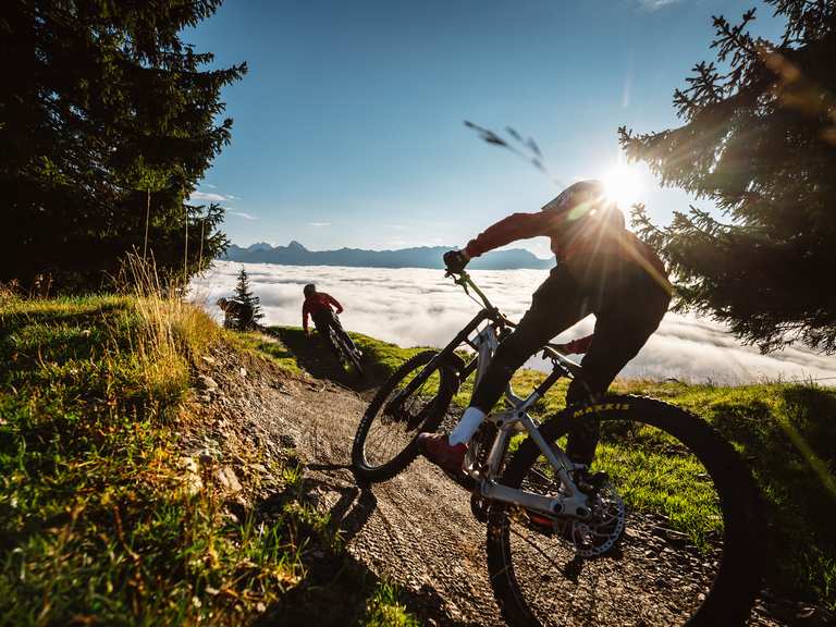 Lines, trails and calf burn — MTB in Austria's largest bike region ...