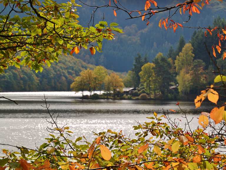 Autumn in western Germany by train and bike | Cycling Collection by komoot
