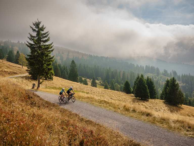 Nature, mountains and freedom – gravel and cycle Tours in the Black ...