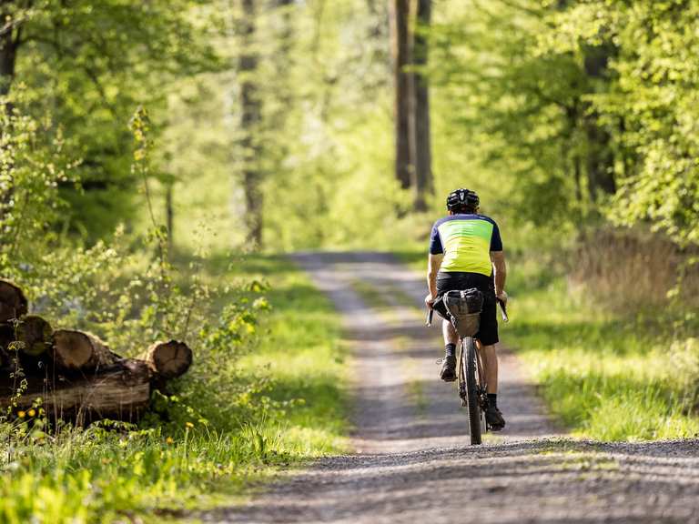 Dive deep into Baden-Württemberg's nature on a gravel bike in Germany ...
