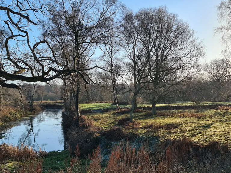 Sandlings Walk — Explore Suffolk's coast, forests and ancient heaths ...