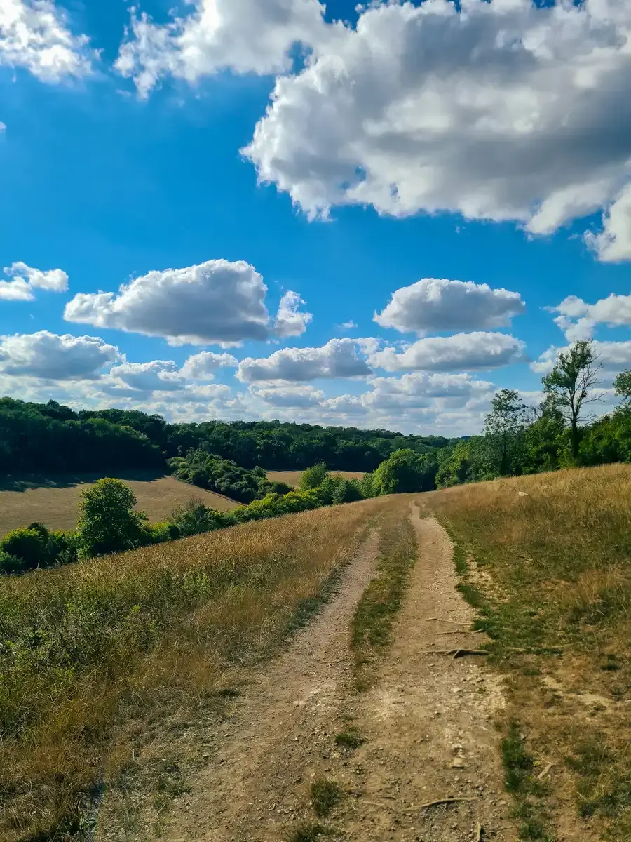 Hiking a ring of greenspaces around the capital — London LOOP | Hiking ...