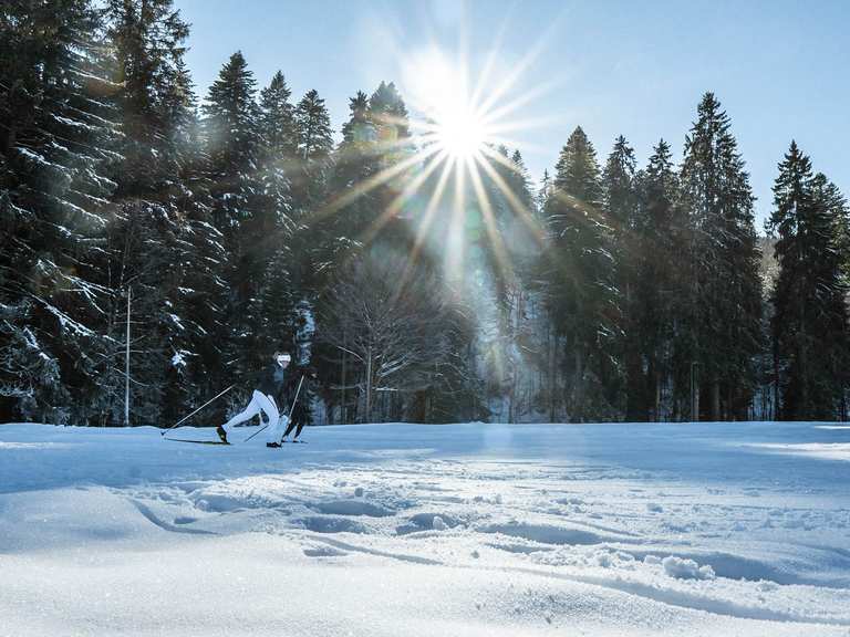 Winter activities away from the crowds in the Black Forest National ...