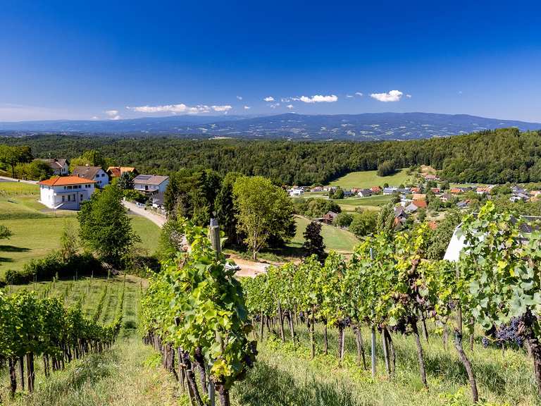 Wonderful city hiking: 10 trails in and around Graz | Hiking Collection ...