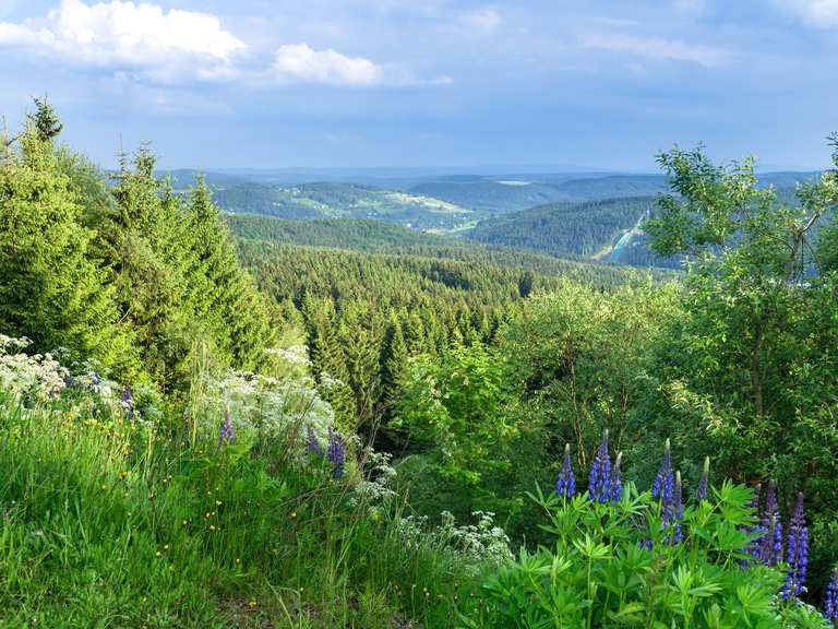 Geschichte trifft Natur – der Kammweg Erzgebirge-Vogtland | Wander ...