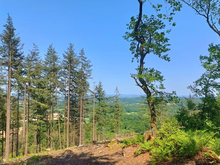 Nature and spectacular views – Germany’s Teutoburg Forest trails ...