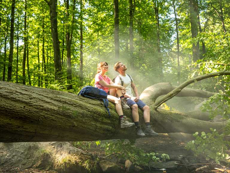 Discover pure nature – Germany’s Teutoburg Forest trails | Hiking ...