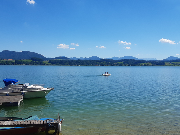 Wandern um den Wallersee: Salzburger Land in allen Facetten | Wander ...