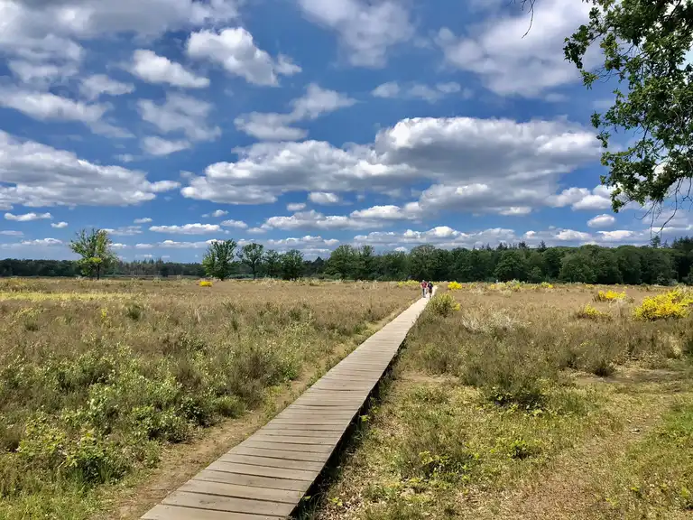 De koninklijke achtertuin van Breda - drie wandelingen door het oude ...