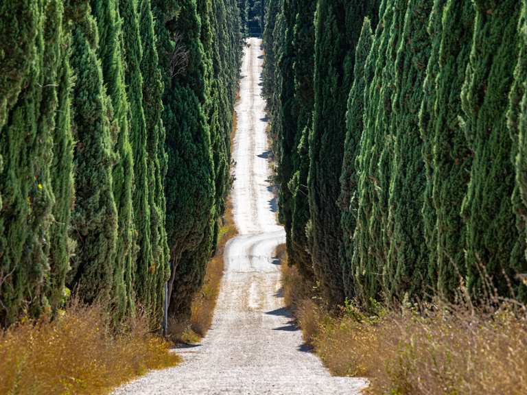 Iconic dirt roads in Italy’s Tuscan hills – Strade Bianche | Cycling ...