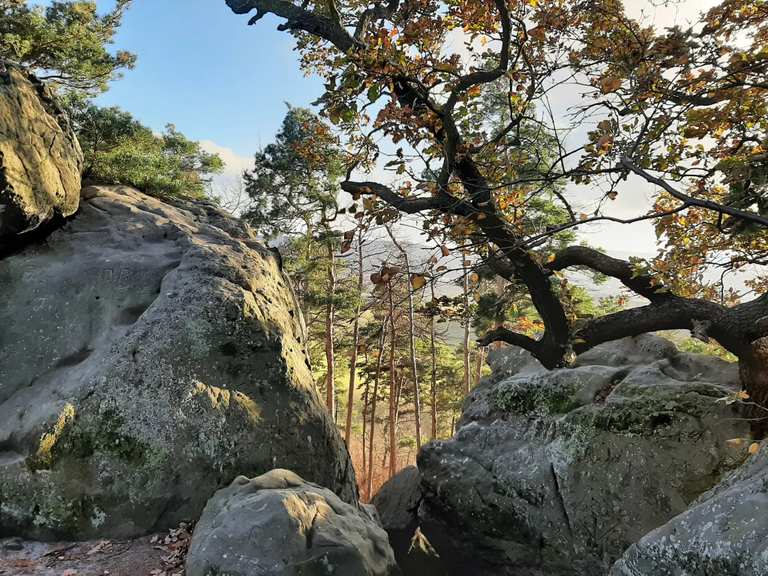 Legendary hikes in the Harz Mountains | Hiking Collection by komoot