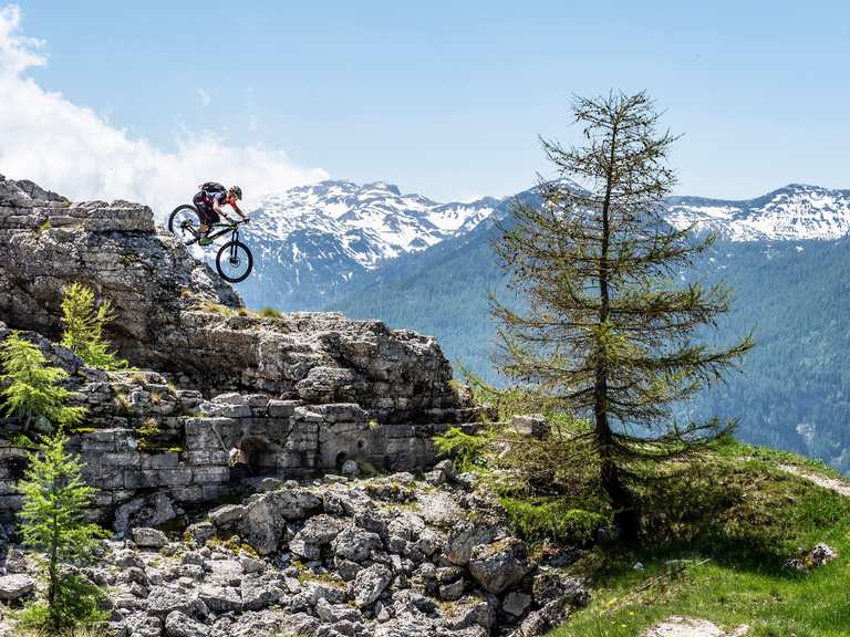 Free your energy! The mountain bike routes of Alpe Cimbra | Mountain ...