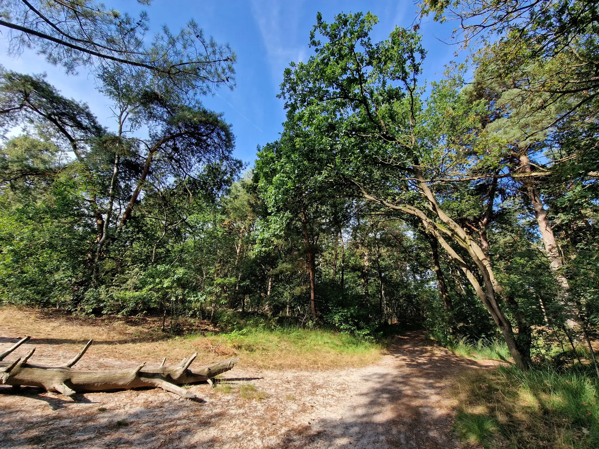 Het Grenslandpad — Tussen Nederland en België in 19 wandelingen | Wandel Collectie van komoot