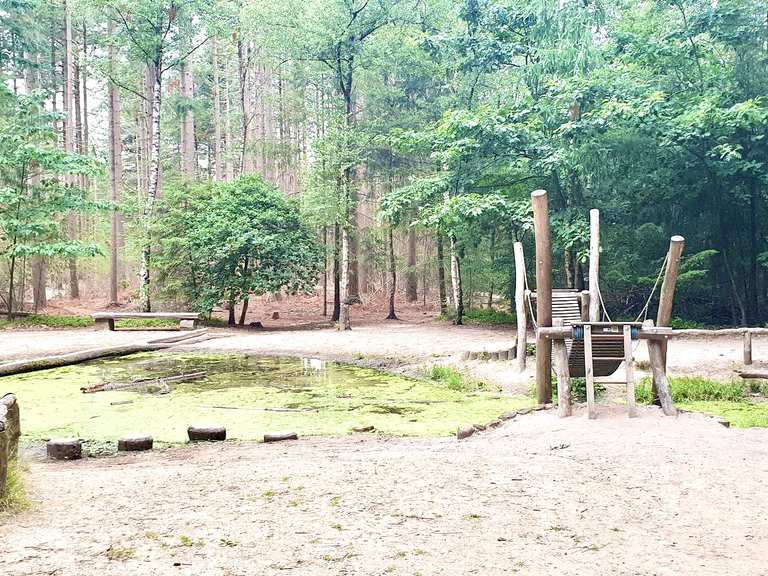 Se défouler dans la nature — 20 parcours d’aventure en forêt ...