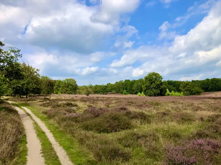 Word ook ‘best zufrieden’ – Wandelen rondom Uelsen | Wandel Collectie ...