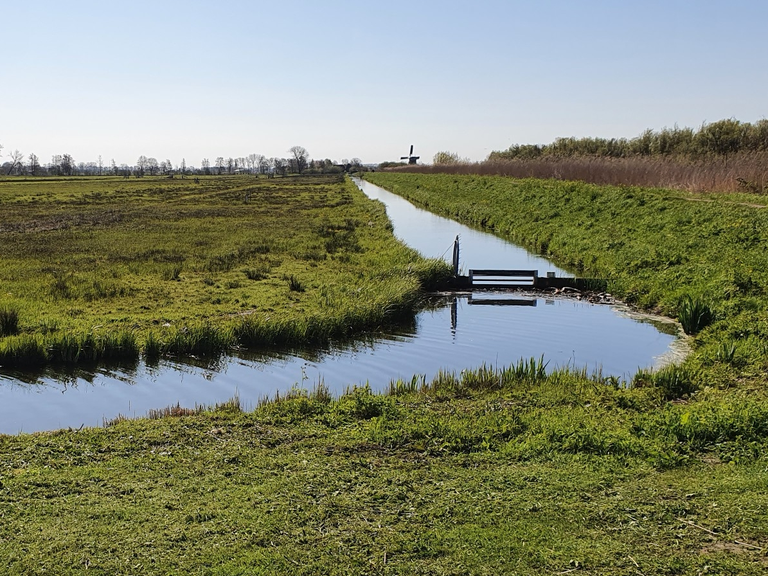 Einzigartige Wasserlandschaft im Westen der Niederlande – Der ...