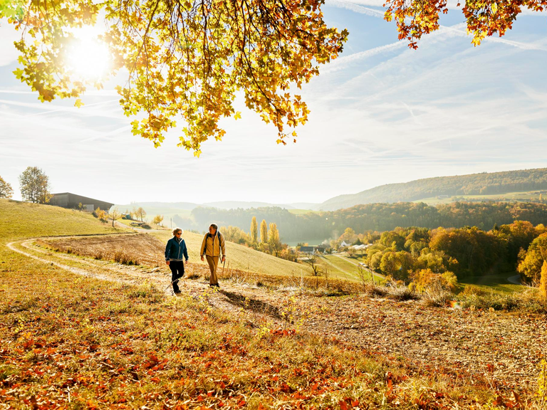 Woodland, water and far-reaching views – start of season hiking hits ...