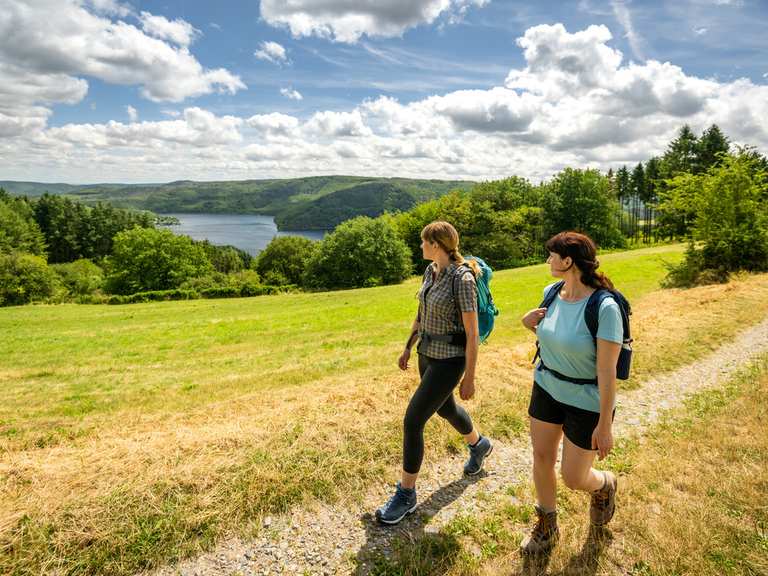 Shaped by rock and water – hikes in the Rureifel region | Hiking ...