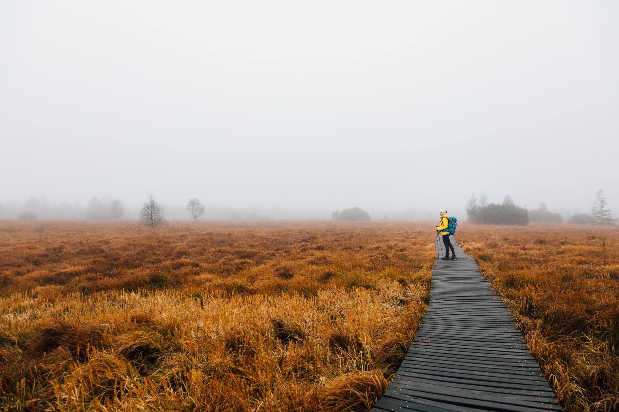 Des Hautes Fagnes à la Forêt Enchantée — Trois jours d’automne sur la ...