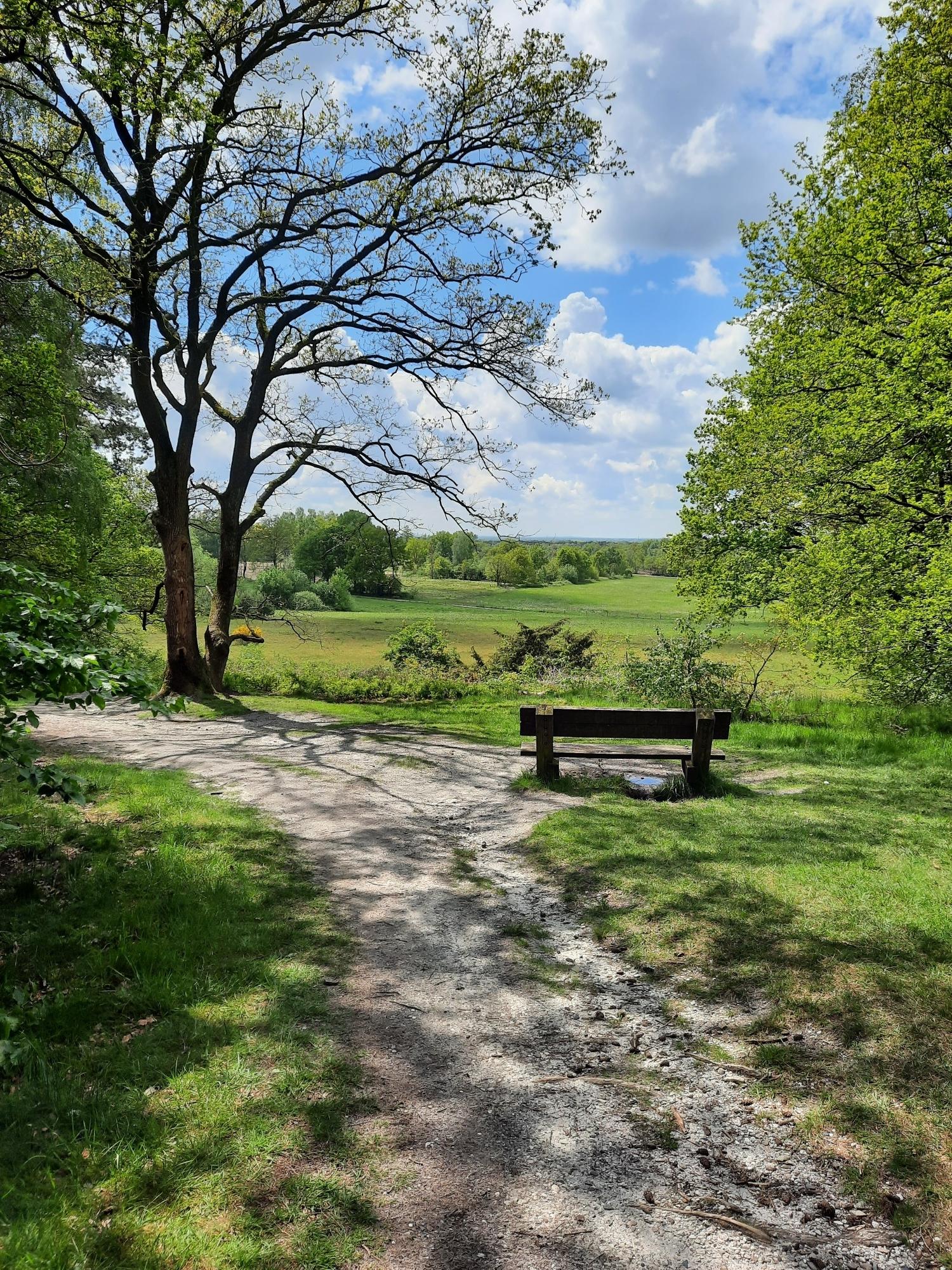 Een verrassende trektocht in het oosten – Het Twentepad | Wandel ...