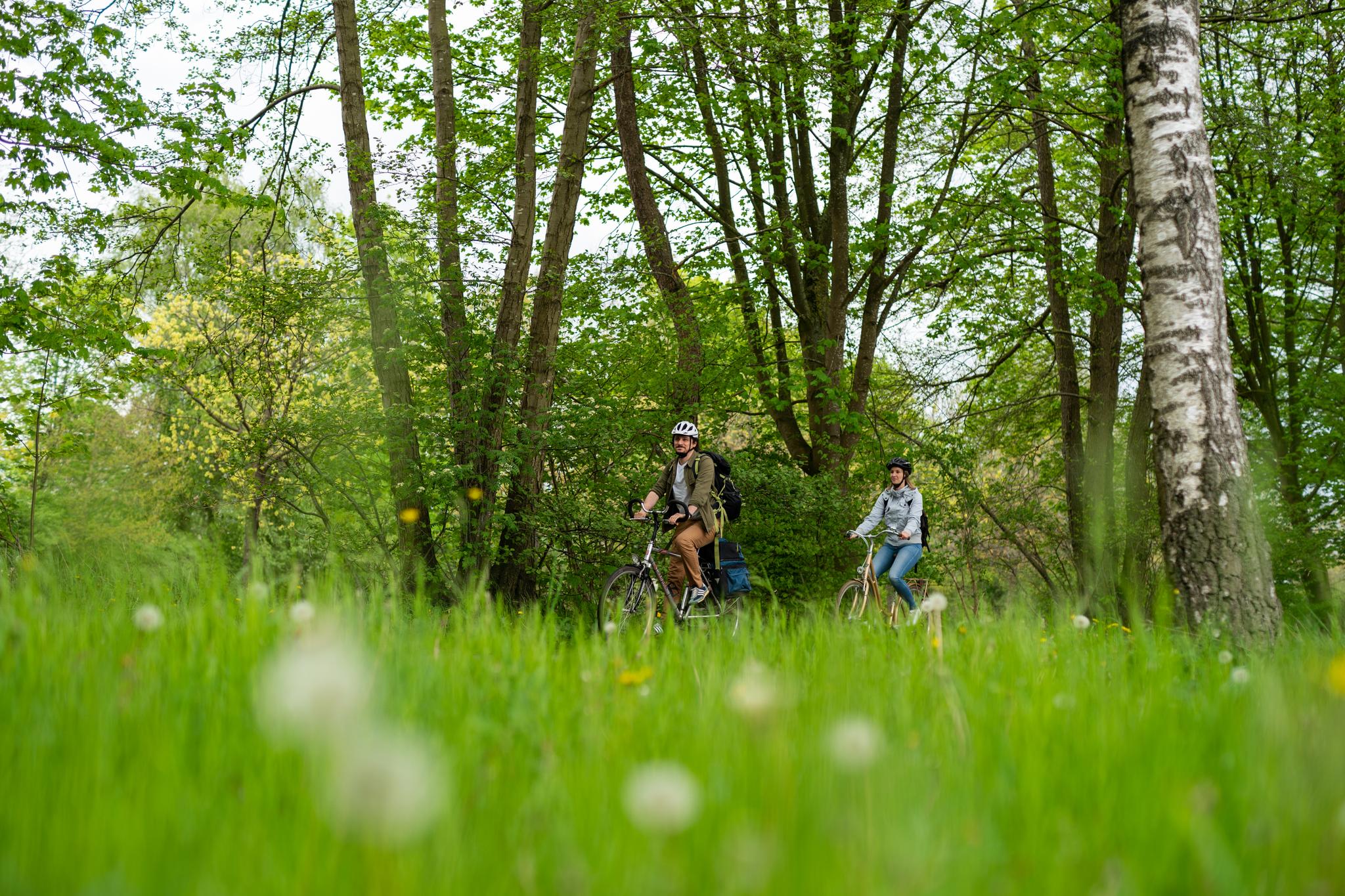Zwischen Natur und Geschichte – Radfernweg Ochsenweg | Fahrrad-Collection von komoot