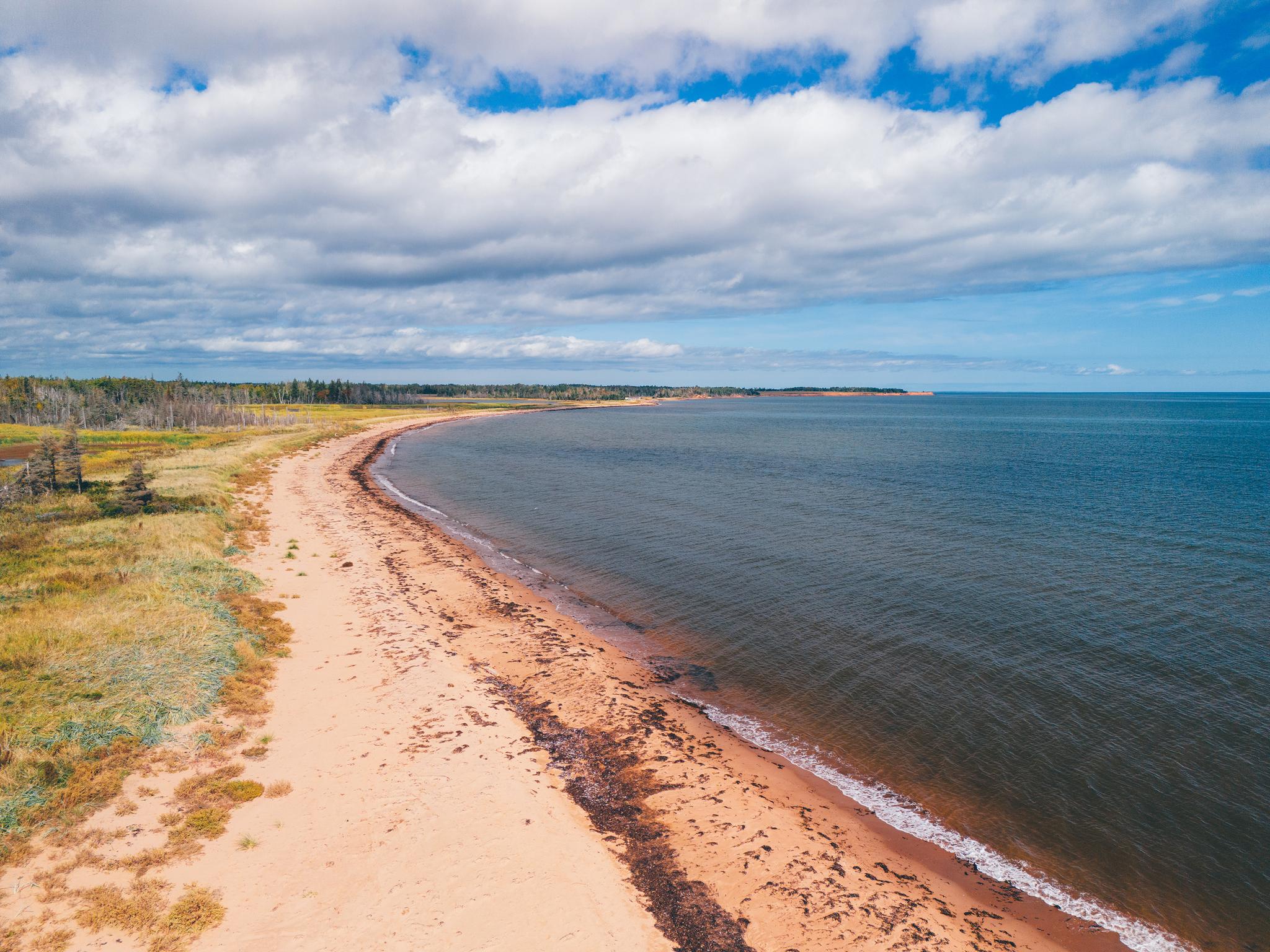 Red coast, green forests – hiking on Prince Edward Island | Hiking ...