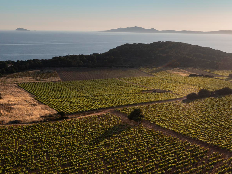 Sentieri tra i vigneti del Carignano – Cammino Minerario di Santa ...