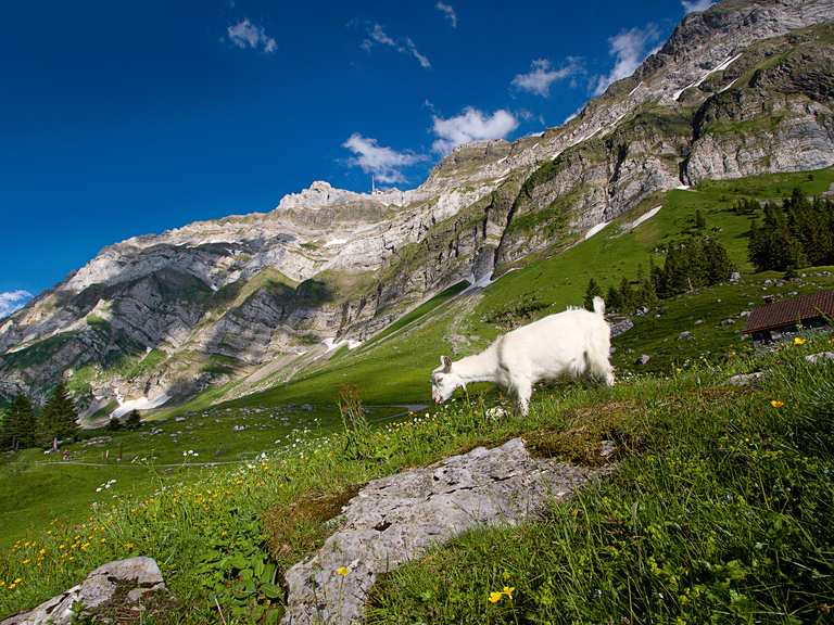 Wenn der Berg erwacht – Frühlingswanderungen rund um die Schwägalp ...