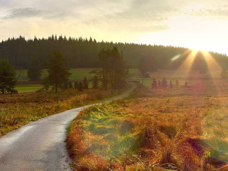 Ore Mountains — between forests and elevation | Road Cycling Collection ...