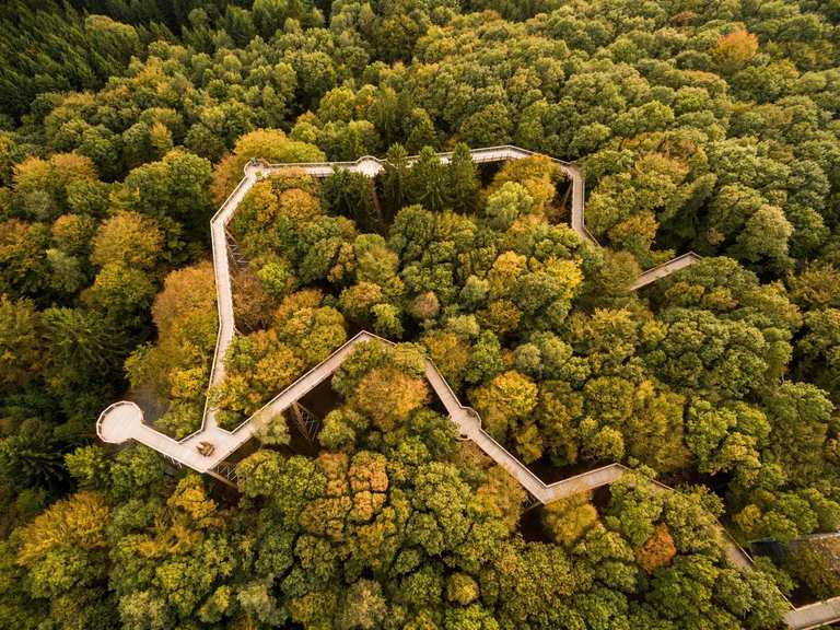 The top tree top walks in Germany | Hiking Collection by komoot