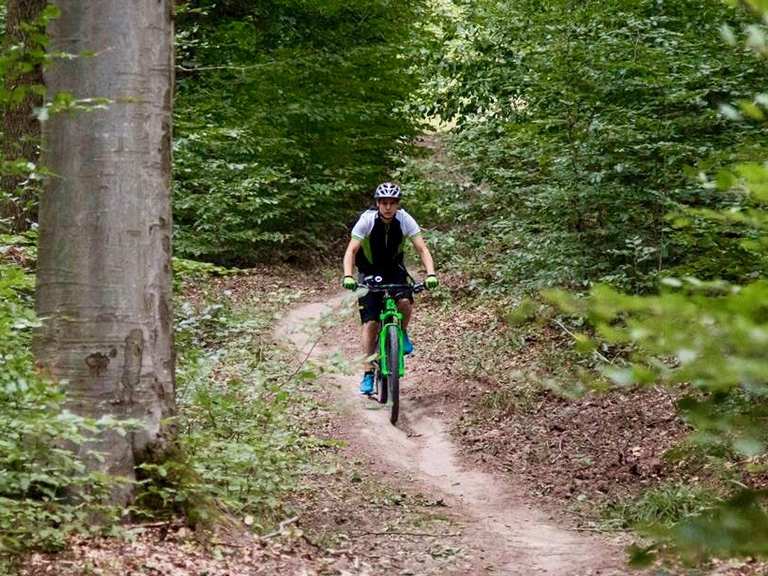 33 MTB trails through German forests | Mountain Biking Collection by komoot