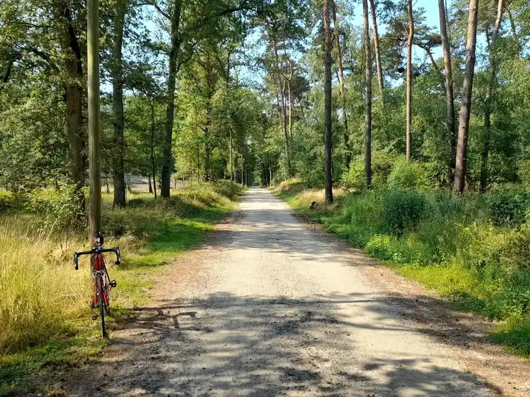 Radtouren mit Einkehrschwung rund um Münster | Fahrrad-Collection von ...