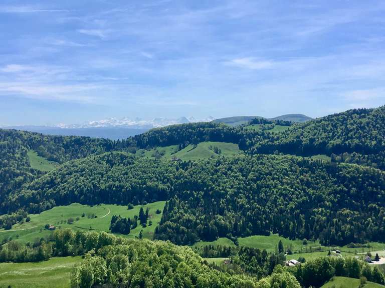 The best tours around Basel | Road Cycling Collection by komoot