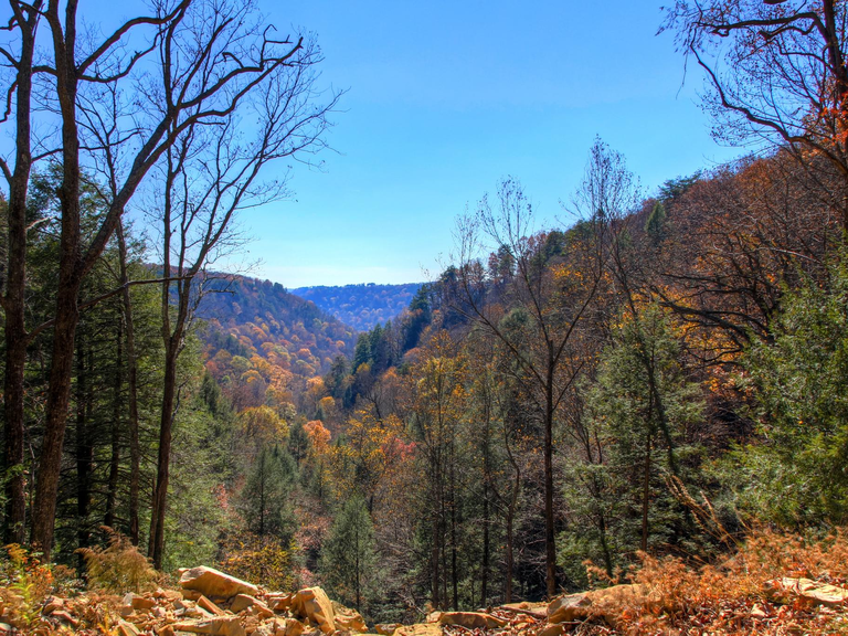 Hiking Fiery Gizzard Trail — Gorge-ous views and water falls | Hiking ...