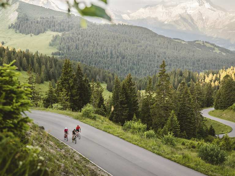 "Coop Ride the Alps"— a spectacular cycling experience | Road Cycling ...