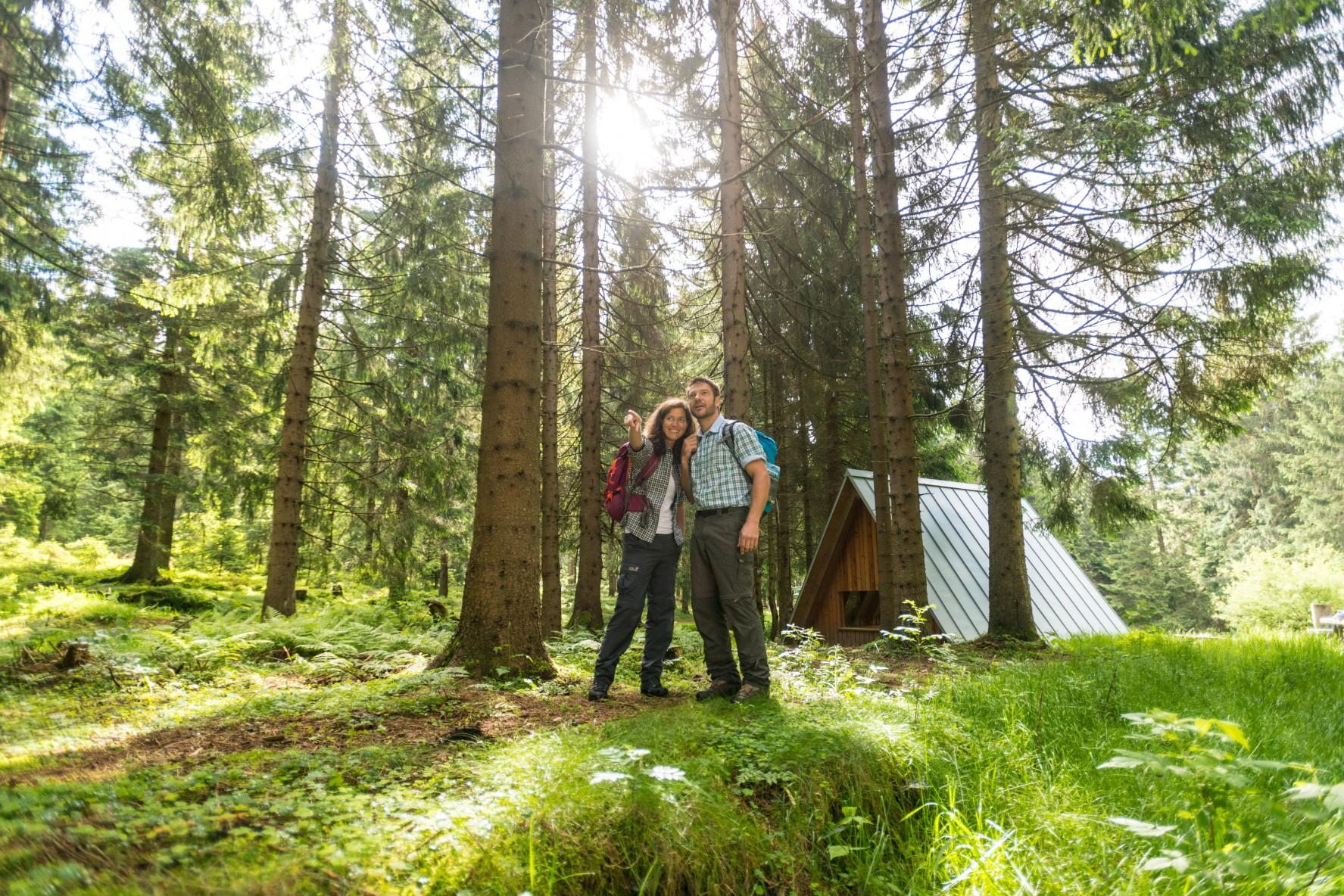 The Rennsteig — Thuringia's most beautiful hiking route | Hiking ...