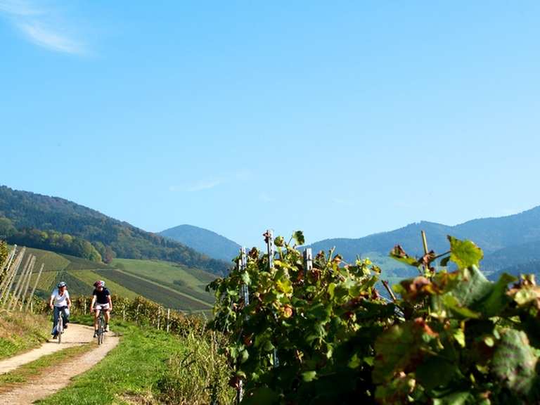 The Black Forest — Cycling in the realm of the "Bollenhüte" | Cycling ...