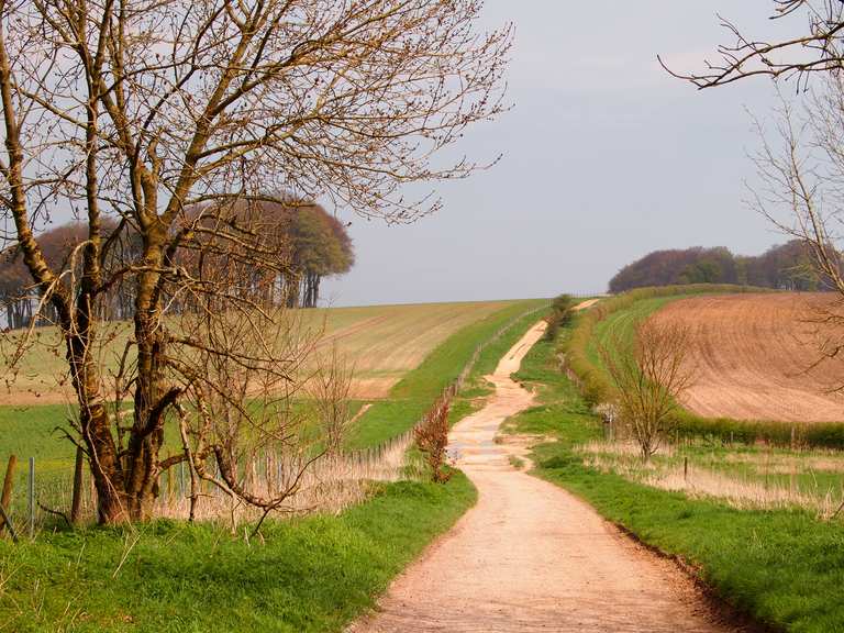 Prehistoric stone circles & white horses: Ride the ancient Ridgeway ...