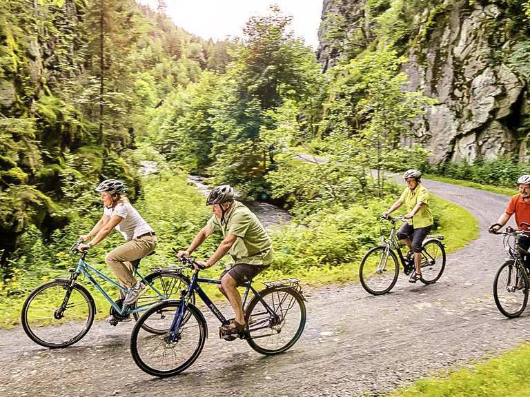 Magical woodland & trails – cycling in Germany’s Franconian Forest ...