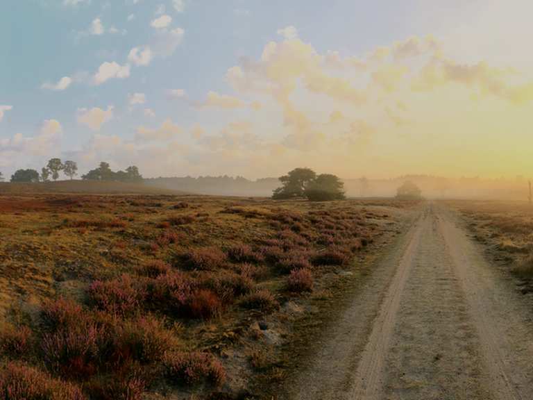 Gravel, heide & heuvels – Bikepacking weekend Heuvelrug en Veluwe ...