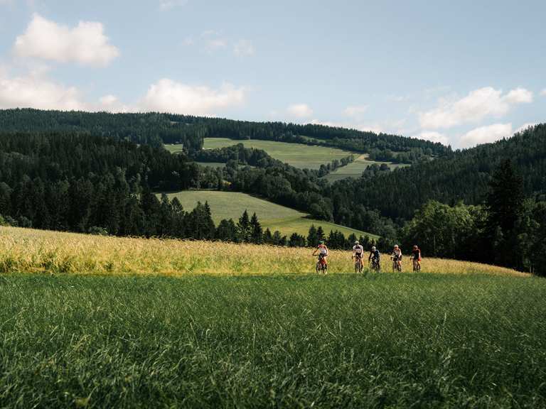 Spring awakening – through Eastern Styria on two wheels | Cycling ...